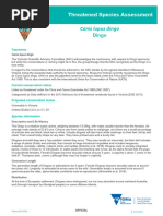 Reading - The Dingo Debate | PDF | Predation | Organisms