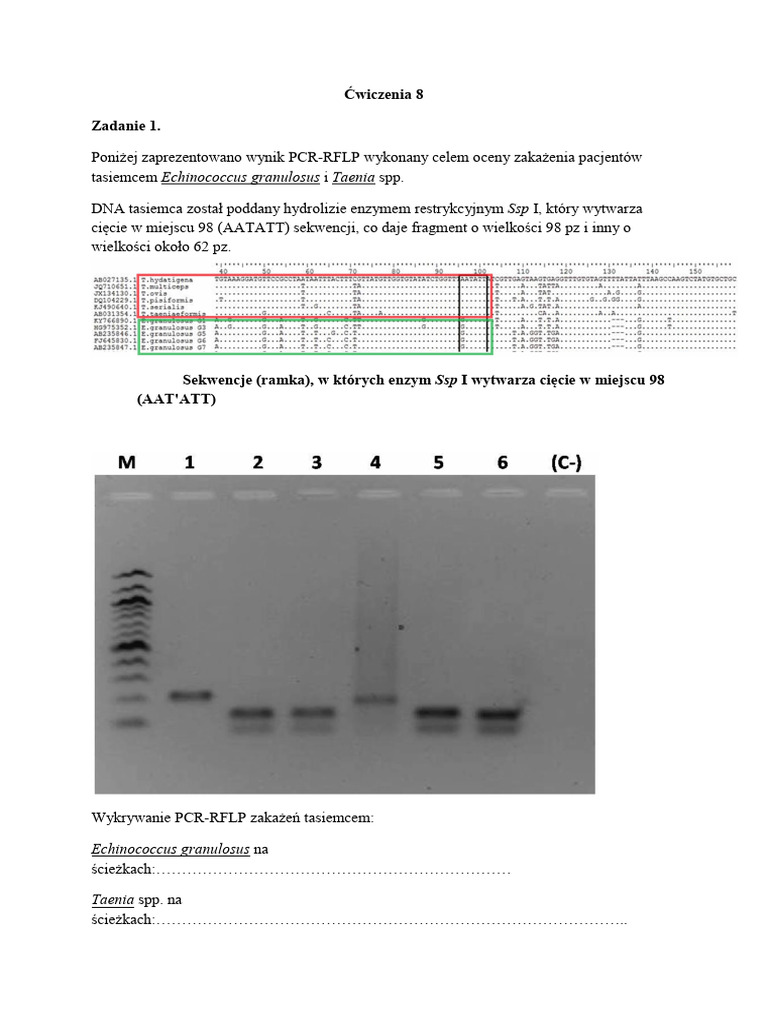 Karty Pracy Cz2 | PDF