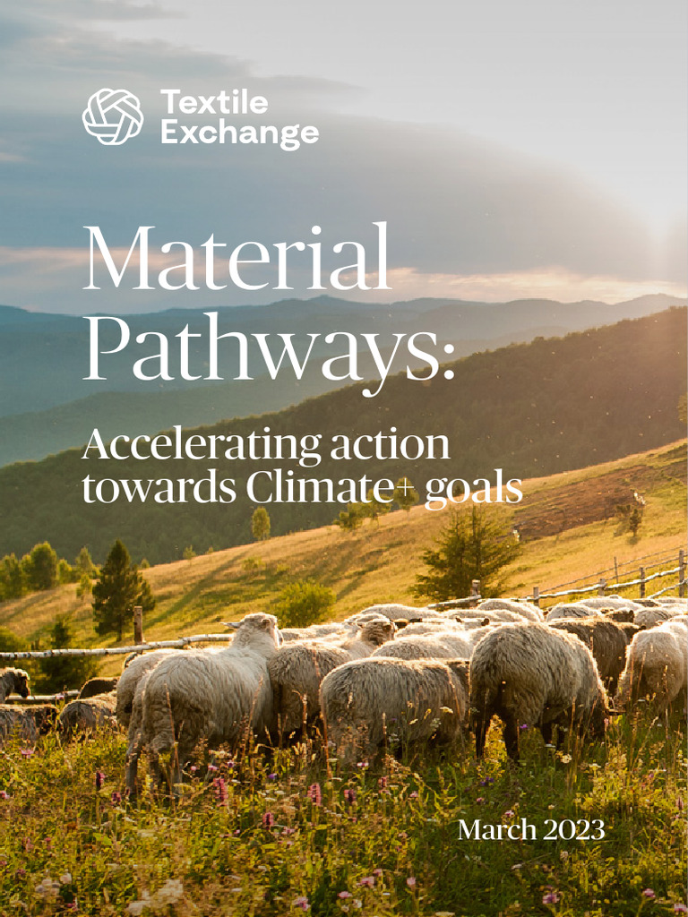 Material Pathways March 2023 | PDF | Life Cycle Assessment | Textiles