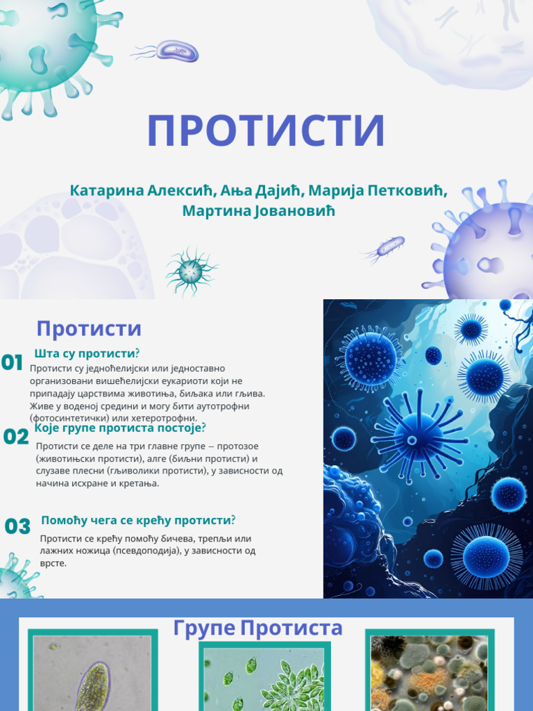 Protisti Grupni Rad | PDF