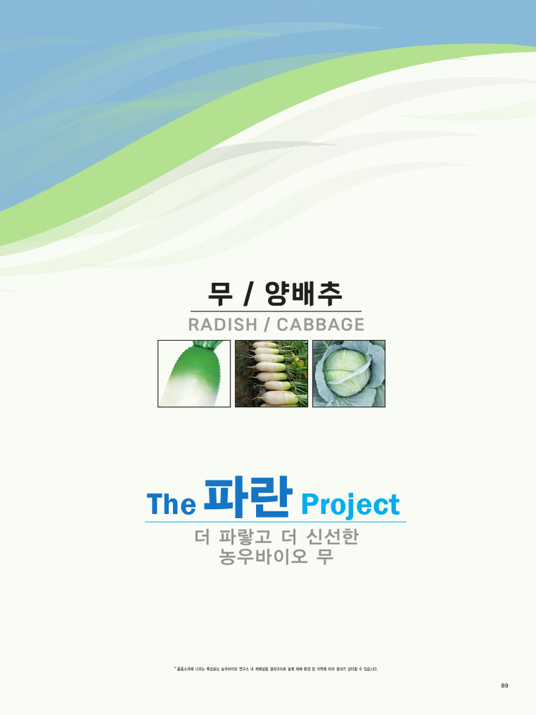2025_RADISH CABBAGE | PDF