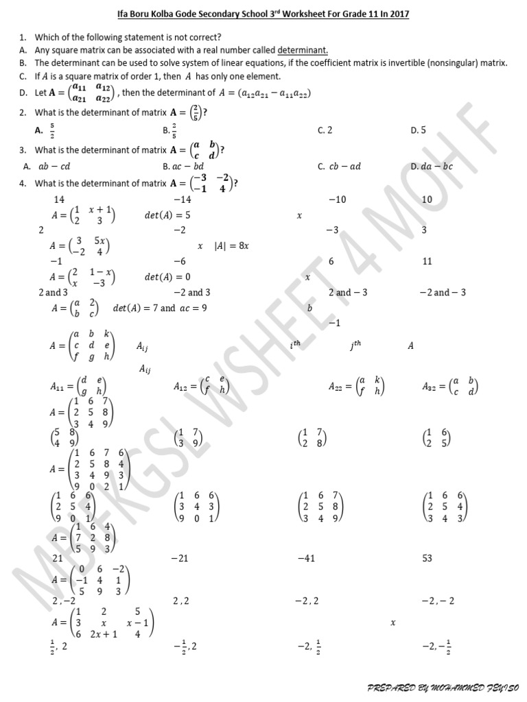 Worksheet 4 Gradee 11 | PDF | Determinant | Matrix (Mathematics)