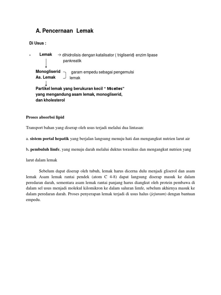 Proses Penyerapan & Mekanisme Absorpsi Protein, Lemak & KH | PDF