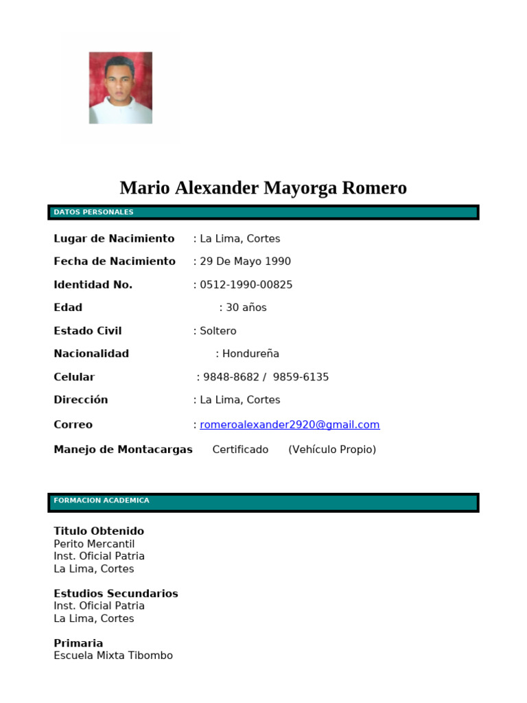 Mario Alexander Mayorga Romero | PDF | Informática
