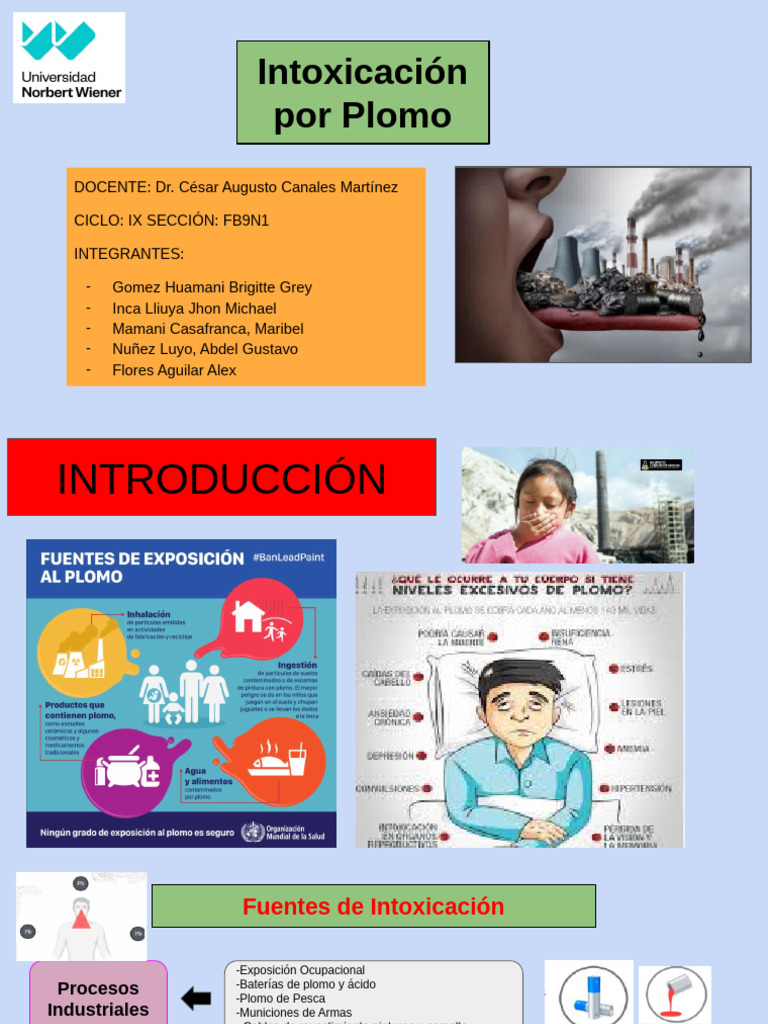 Intoxicación por Plomo: Causas y Efectos | PDF | Calcio | Metabolismo