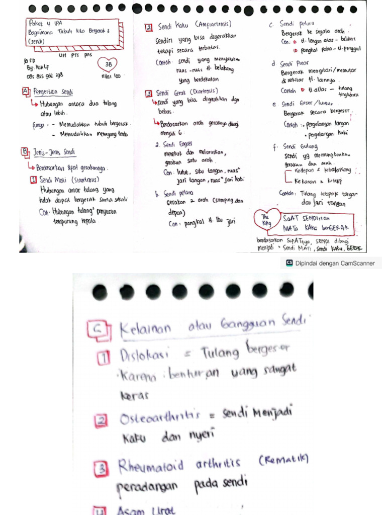 Ipa Kelas 6sd Paket 4 | PDF