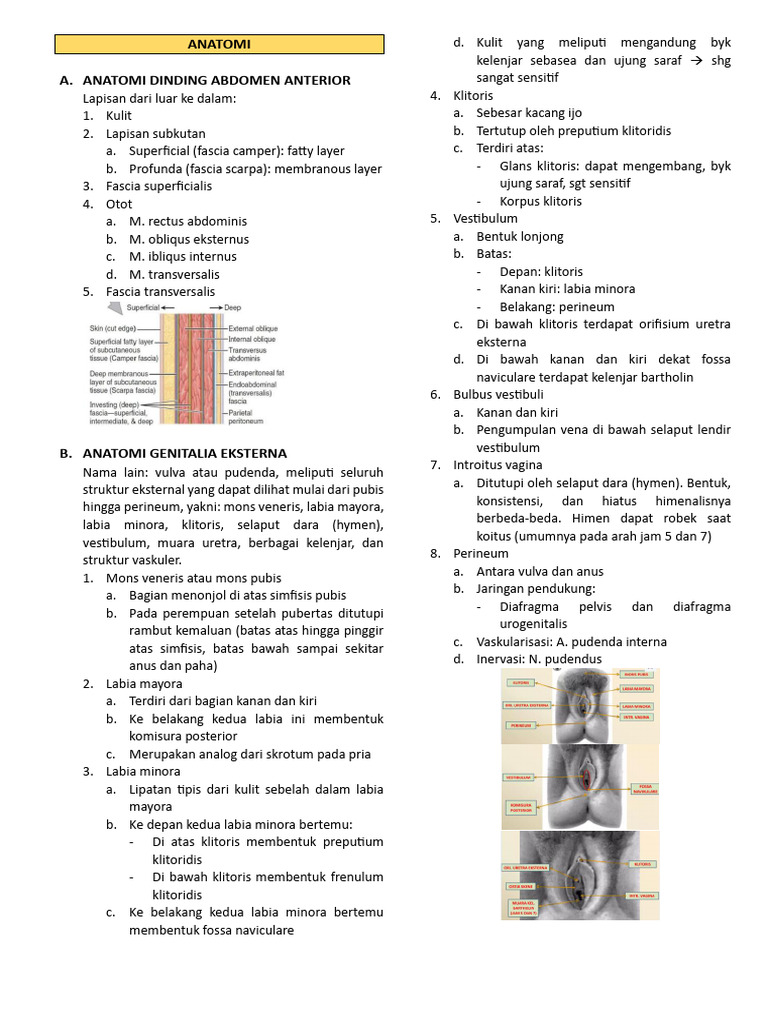 Anatomi Genitalia Wanita, Siklus Mens, Fisiologi Kehamilan (PR DR Samsu by Indiccuy Cmmiiw) | PDF