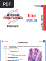 05 Tejidos Epiteliales III Especializaciones Del Dominio Basolateral ...