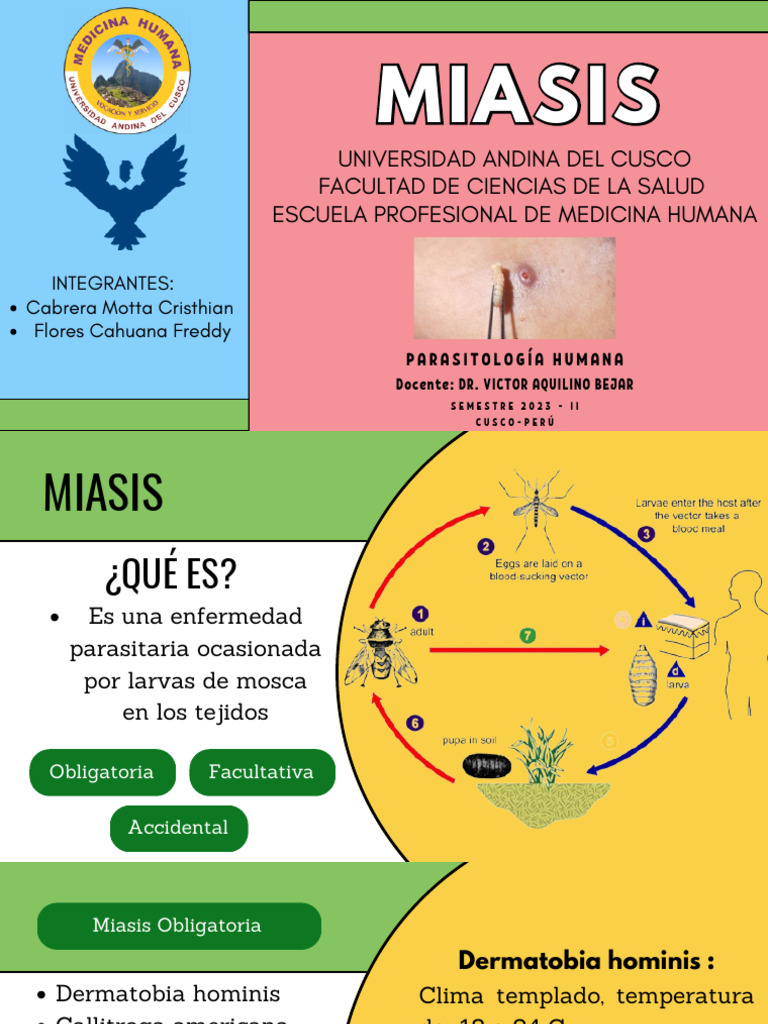 Clasificación y Tratamiento de Miasis | PDF | Medicina | Enfermedades y ...
