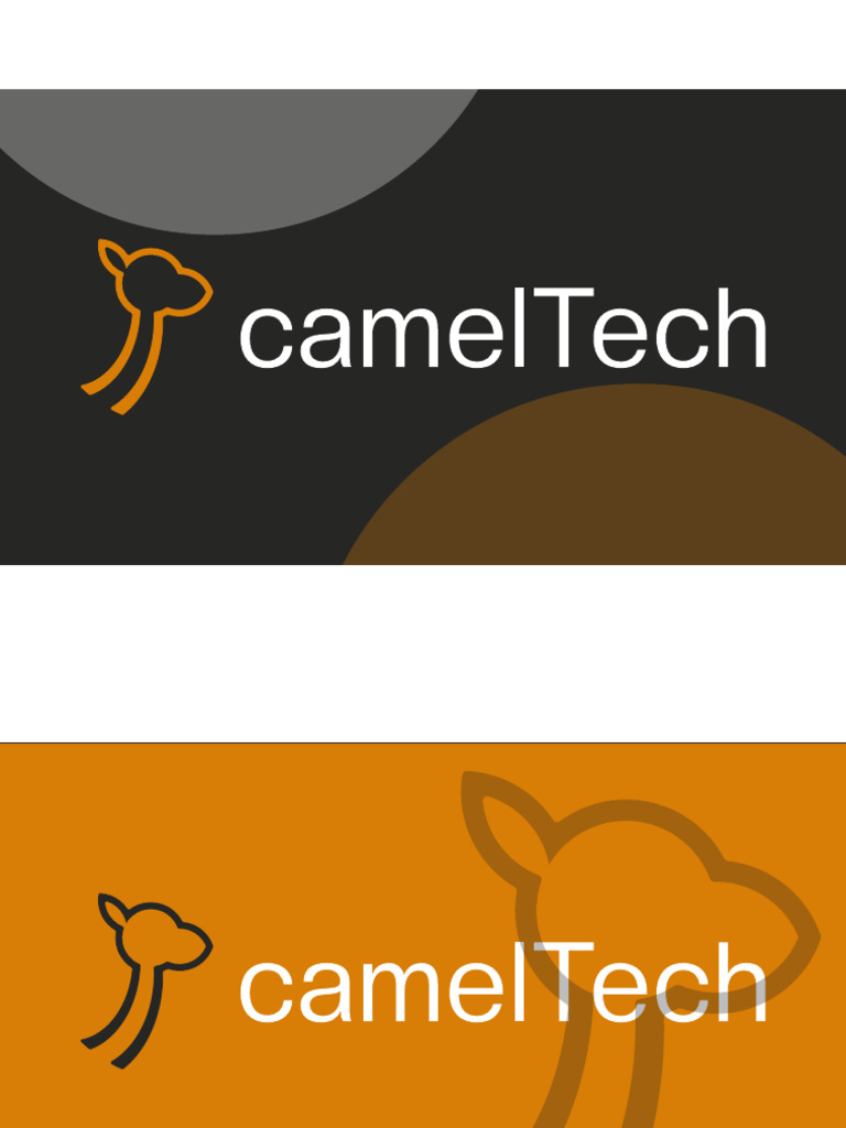 Camel Tech Brand Identity PDF | PDF
