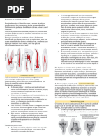 Anatomia Interna do Dente 46 | PDF | Dente humano | Áreas da odontologia