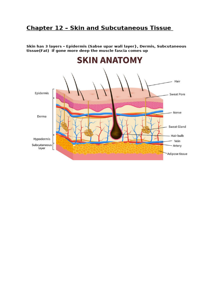 Chapter 12 - Skin Diseases | PDF