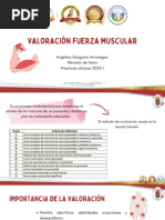 PROTOCOLO EVALUACIÓN FUERZA MUSCULAR - Escala Medical Research Council ...