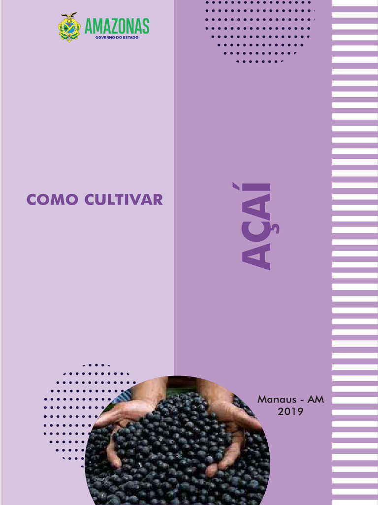 Acai | PDF