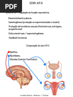 Funções e Ciclos das Gônadas Humanas | PDF | Hormônio luteinizante | Ovário