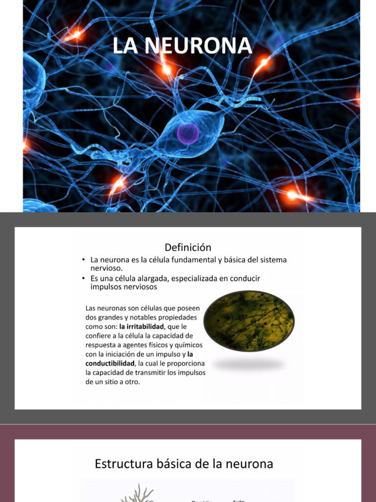 La Neurona | PDF