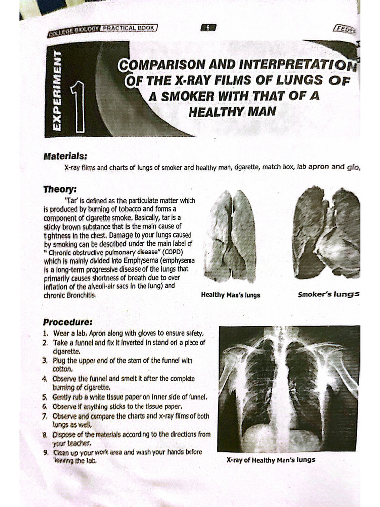 Bio PBA Section A Notes | PDF
