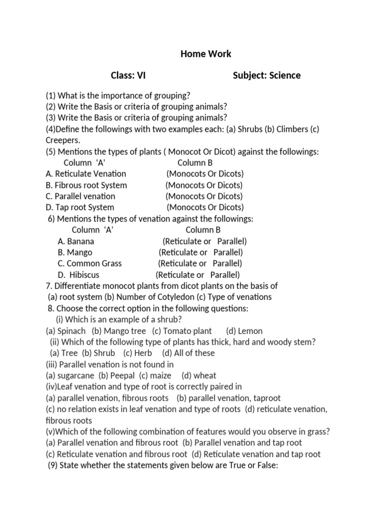 Summer Holidays Homework Class 6 | PDF | Leaf | Root