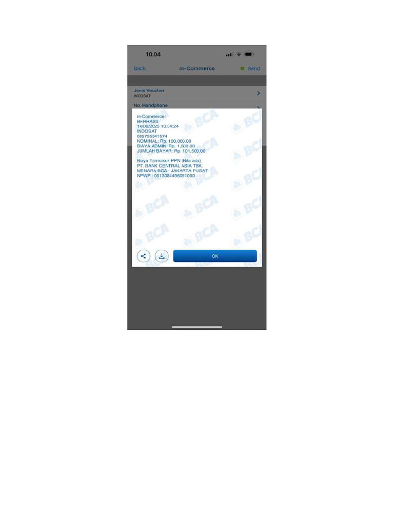 Pulsa 14062025 | PDF