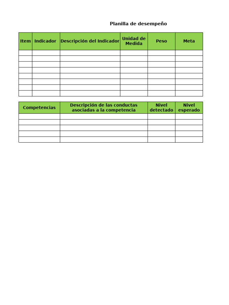 Formato Planilla de Desempeño | PDF