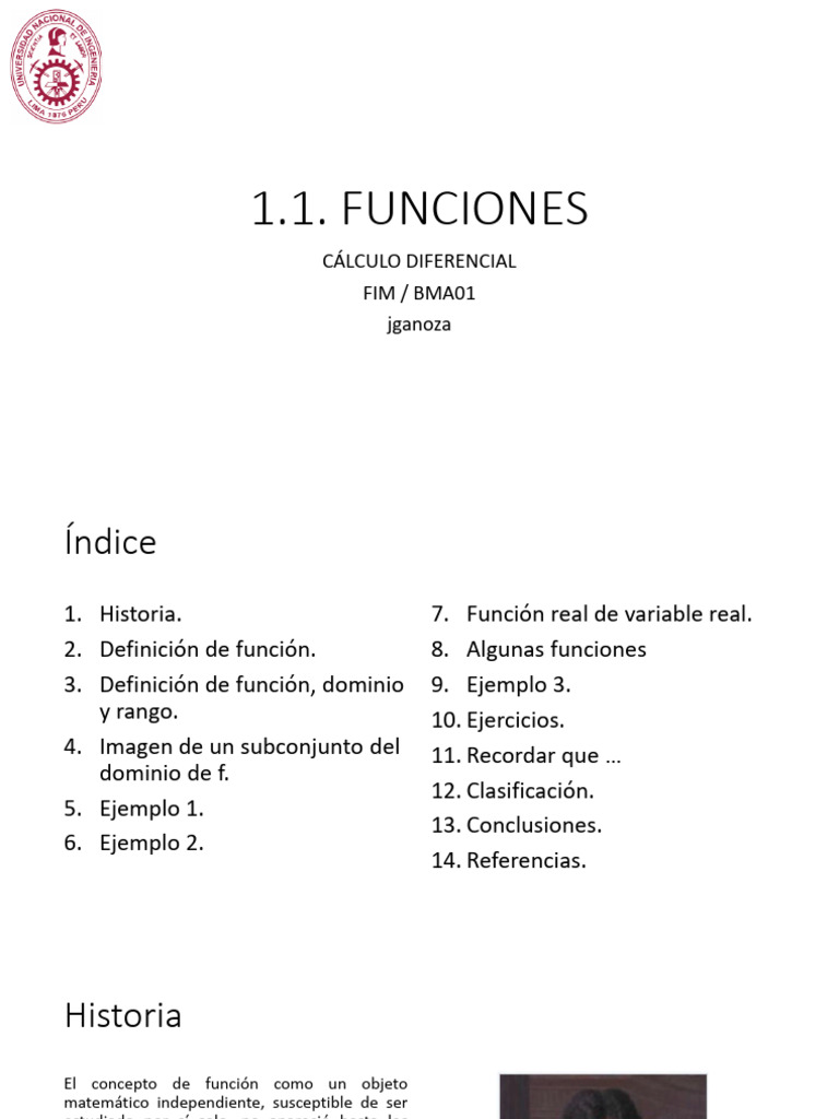 1 1 Funciones Algebraicas | PDF | Función (Matemáticas) | Número Real
