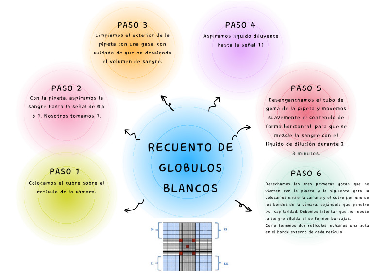 Recuento de Globulos Blancos | PDF