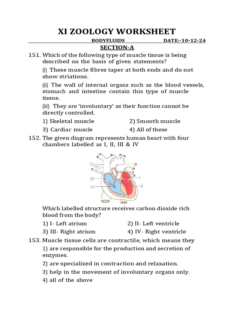 Xi Zoology Worksheet Bdy Fluids 10-12-24 | PDF | Heart Valve | Atrium ...