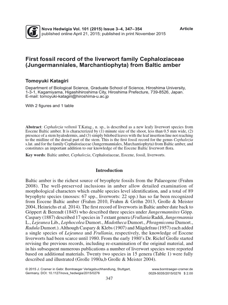 First Fossil Record of The Liverwort Family Cephaloziaceae ...