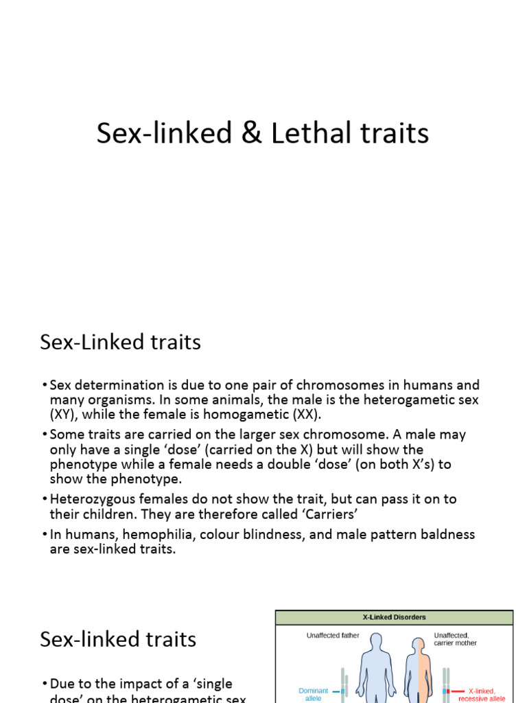 Sex-Linked & Lethal Traits | PDF | Dominance (Genetics) | Genotype