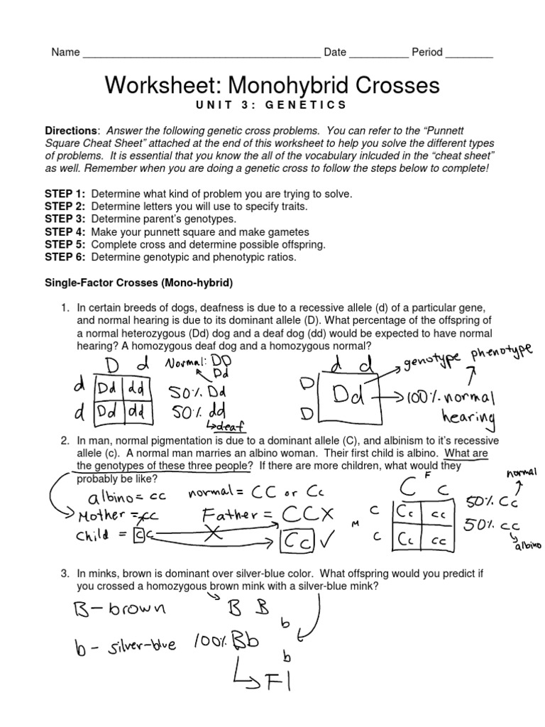 Understanding F2 in Monohybrid Crosses | PDF | Dominance (Genetics ...