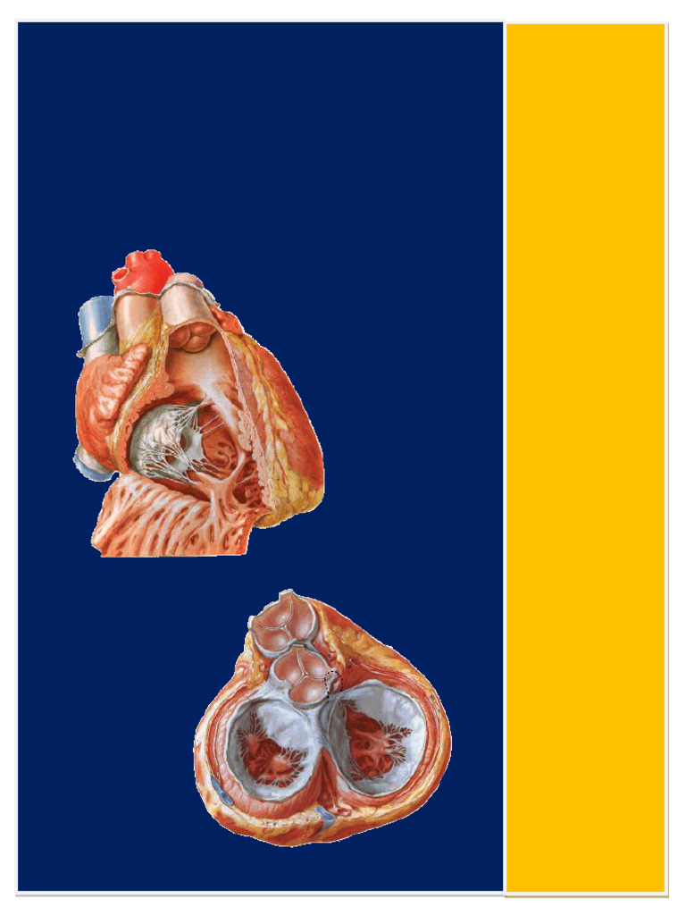 Caso Clinico Cateterismo 2025 | PDF | Cirugía de bypass de la arteria ...