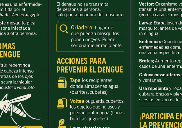 Triptico Prevencion Dengue | PDF