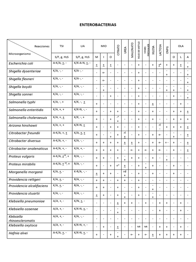 7.2 Lectura de Enterobacterias 1 | PDF | Microbiología | Bacterias Gram-negativo