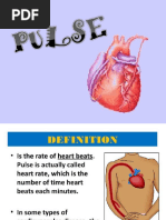 Peripheral Pulse Measurement Sites | PDF