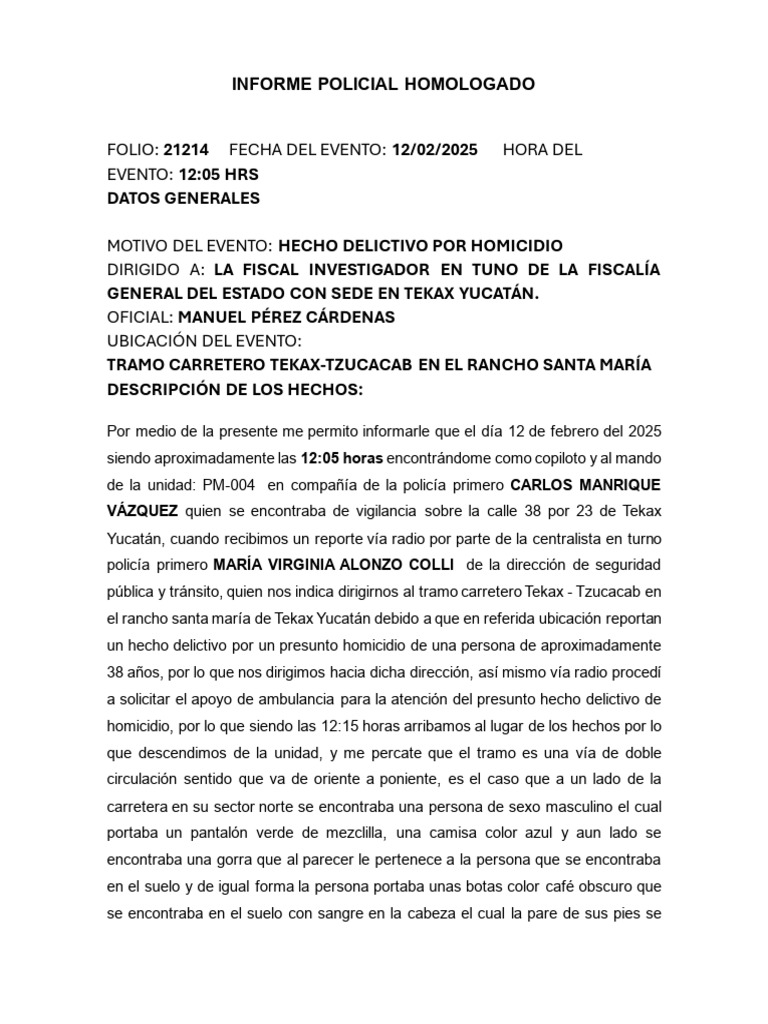 Informe Policial Homologado | PDF