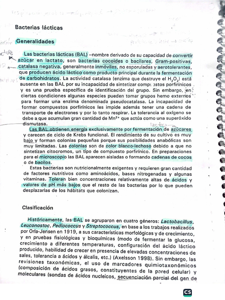 Fermentación Láctica | PDF