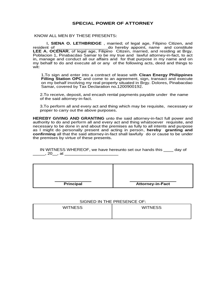 SPA Pinabacdao Clean Energy | PDF