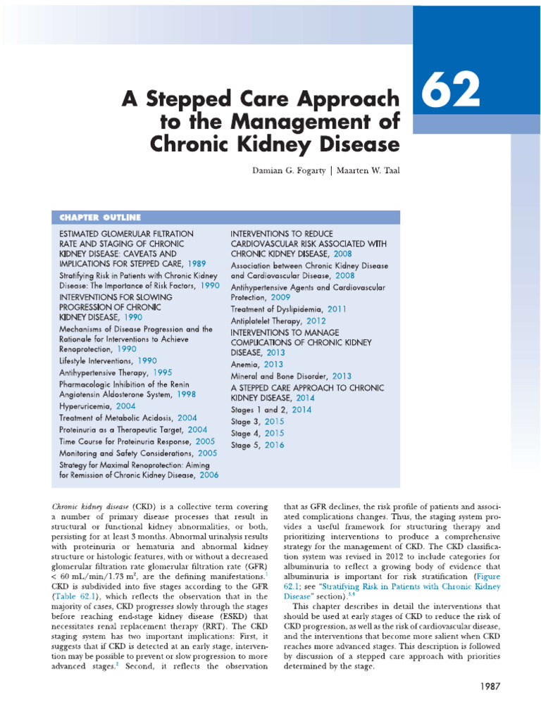 CKD | PDF