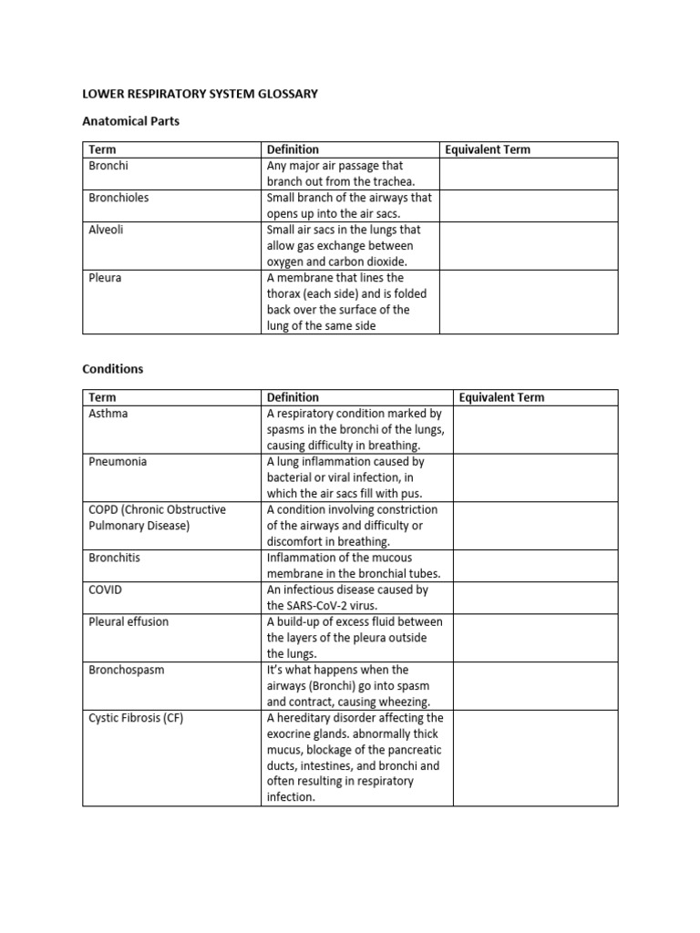 Lower Respiratory System Glossary | PDF | Lung | Respiratory Tract