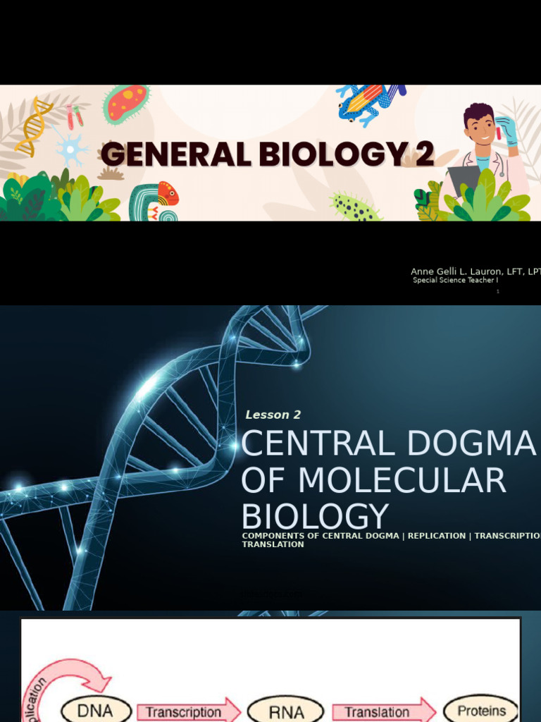 BIO2 Lesson2 Central-Dogma-PREFI | PDF | Translation (Biology) | Messenger Rna