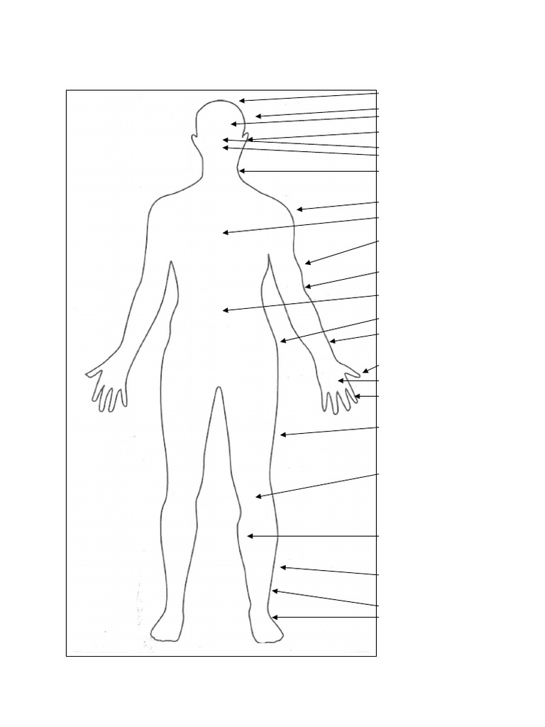 WOORDESKAT - Die Menslike Liggaam | PDF