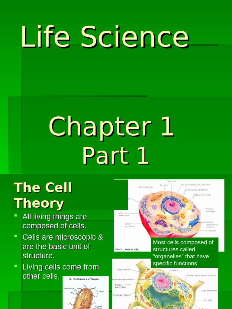 Life - Chap - 1 - Part1 Basic Fundamentals of The Study of Biology ...