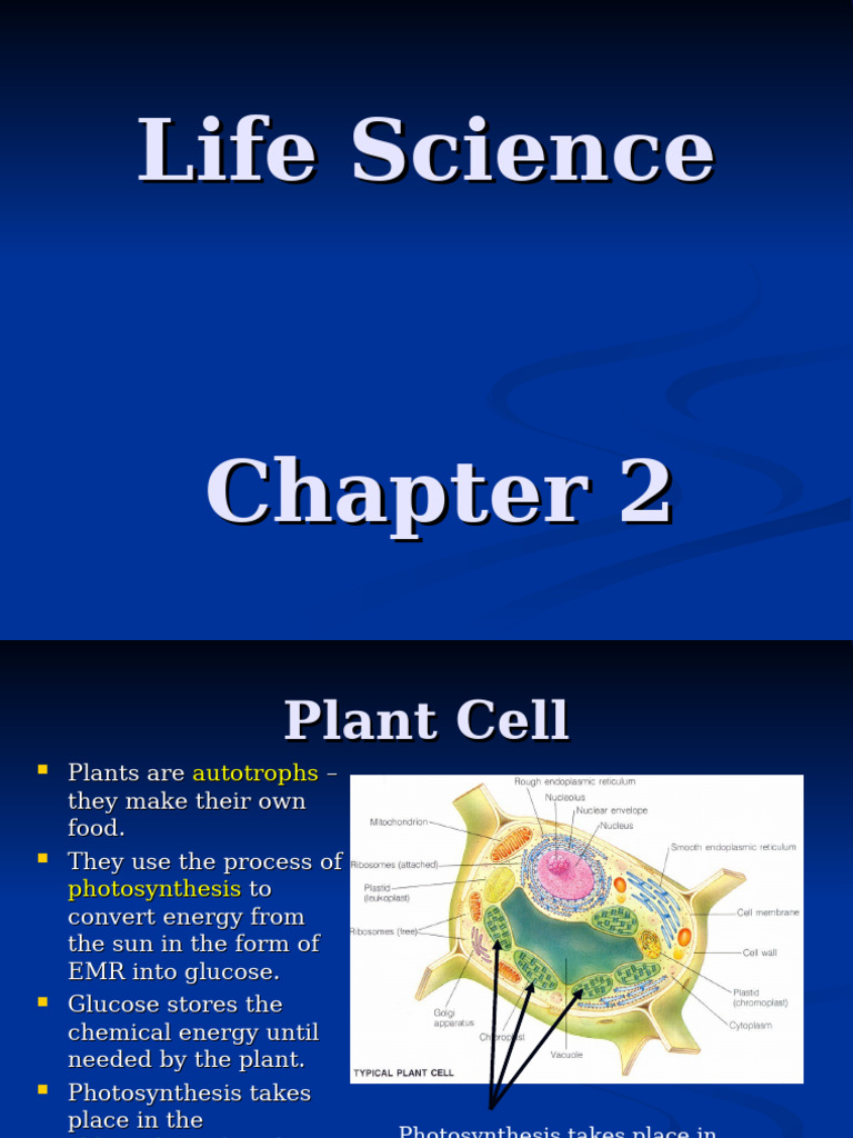 Life - Chap - 2 - Part1 The Study of The Plant Cell | PDF | Cellular ...