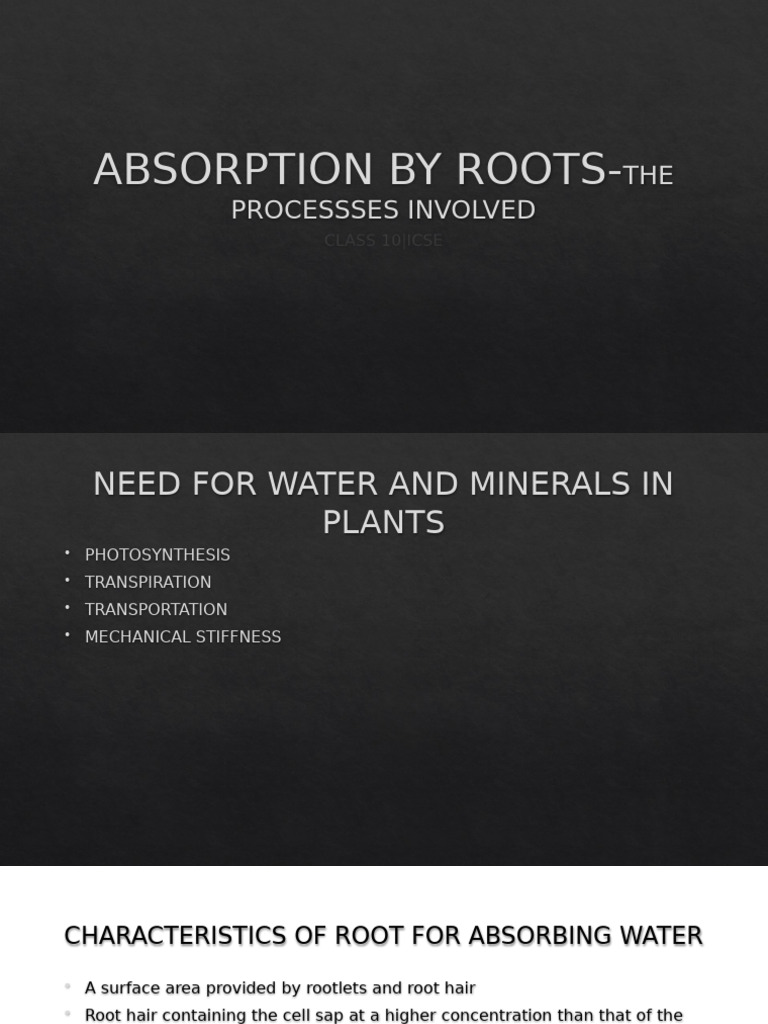 Absorption by Roots-The Processses Involved | PDF