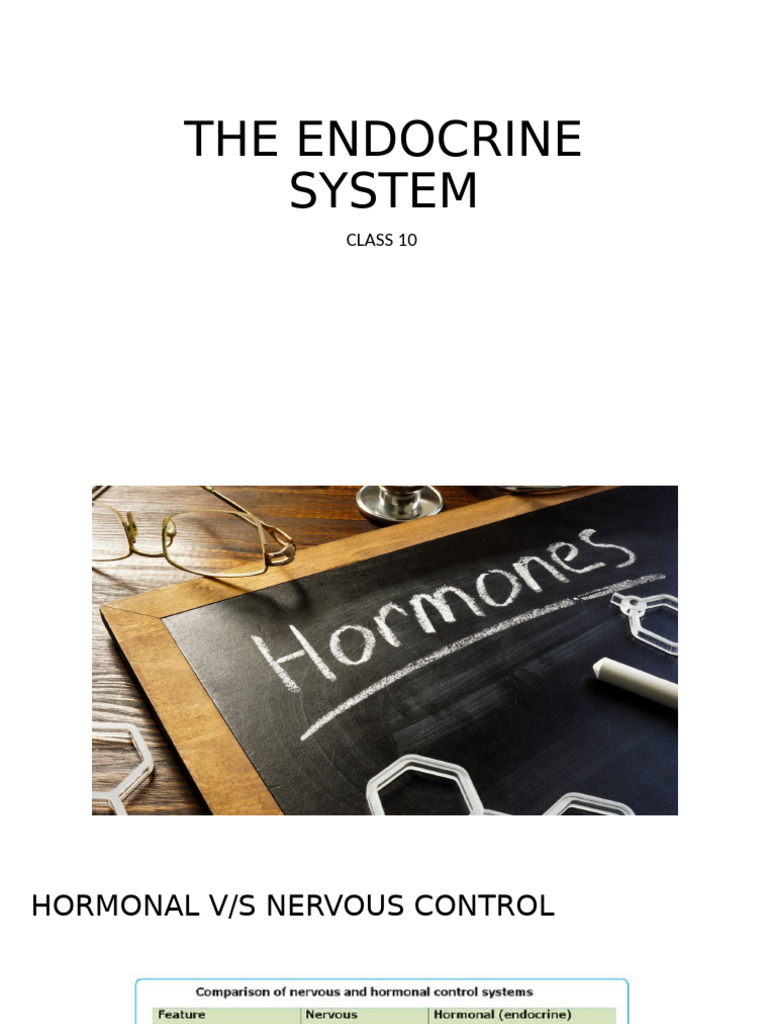 Endocrine | PDF