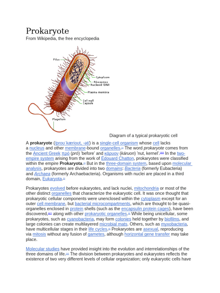 Prokaryote | PDF | Prokaryote | Eukaryotes