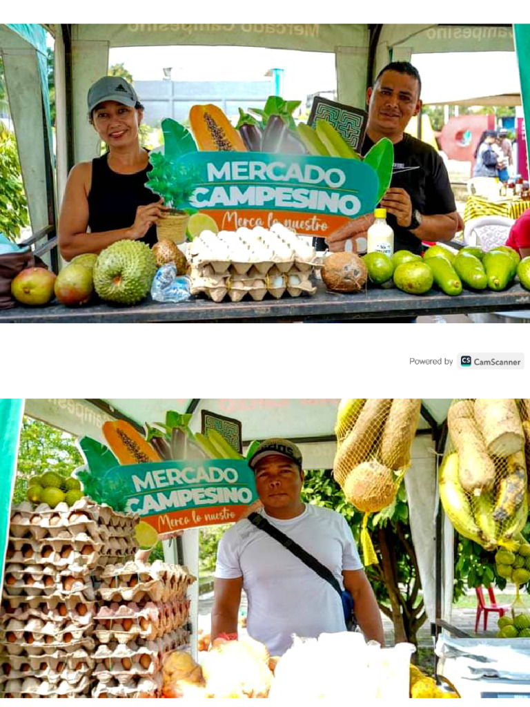 Evidencia Fotográfica, MECADO CAMPESINO. Apartadó - Antioquia | PDF
