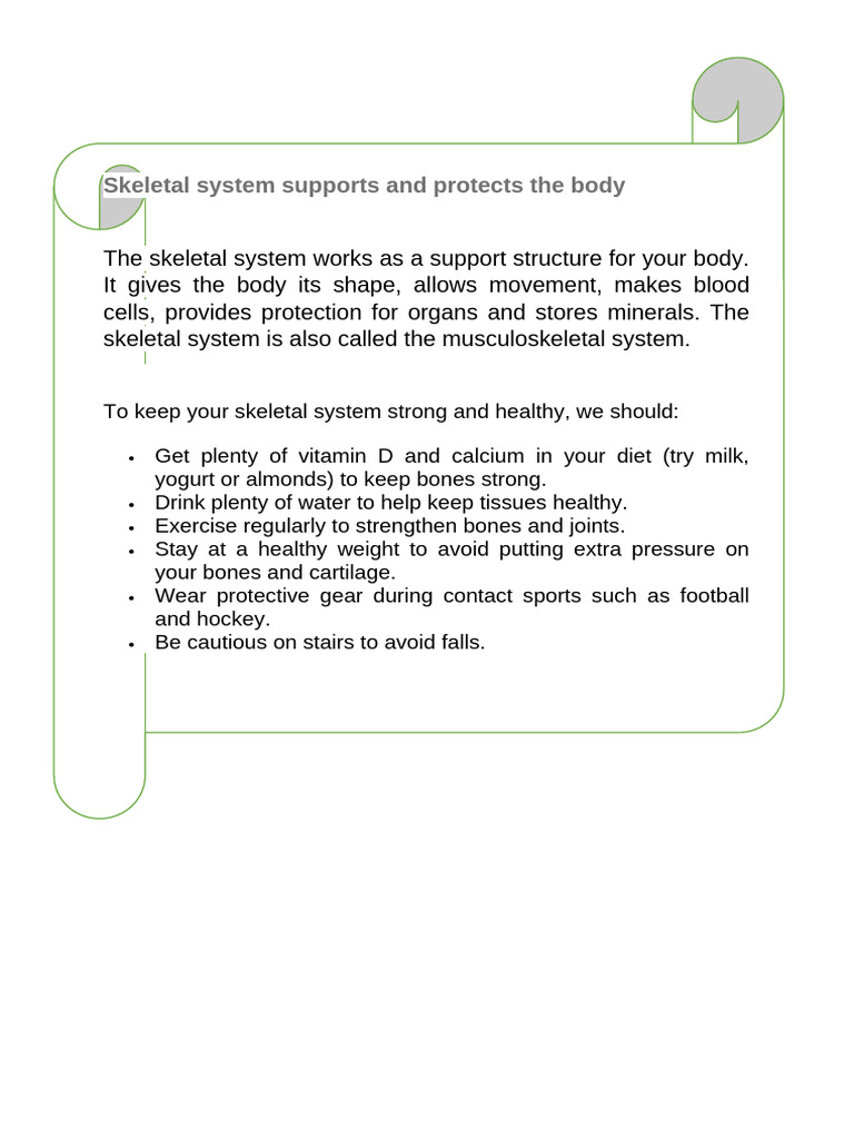 Skeletal System Supports and Protects The Body | PDF