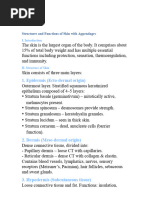 Friction Ridge Skin Anatomy Overview | PDF | Epidermis | Hand