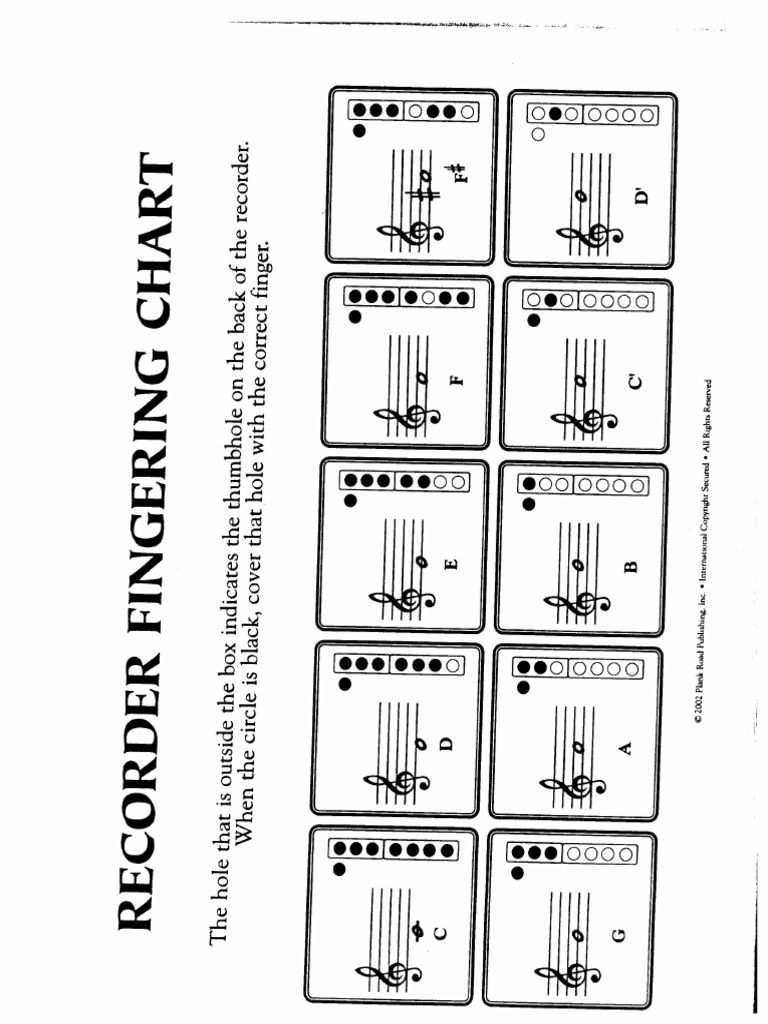 Recorder Karate Songs | PDF | Music Theory | Rhythm And Meter